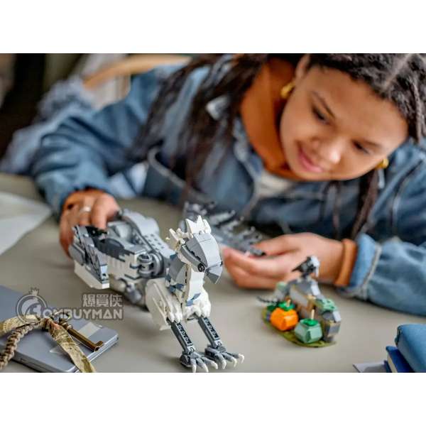 Buy LEGO 76427 Buckbeak™ (Harry Potter™) - BOMBUYMAN