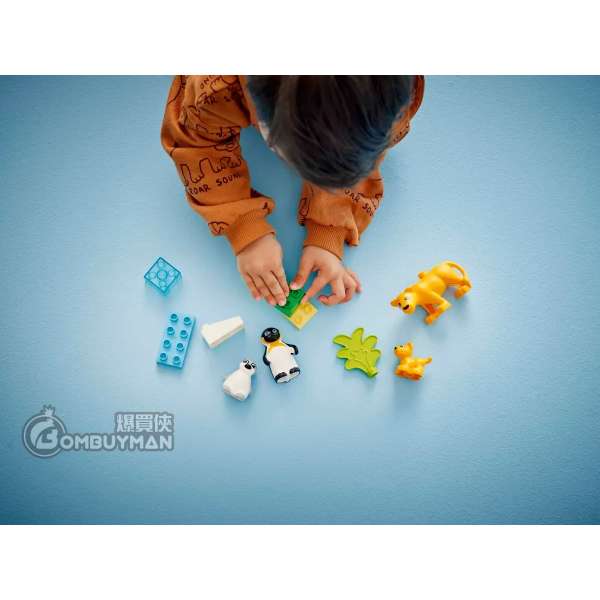 【爆買】LEGO 10442 Wild Animal Families: Penguins & Lions 野生動物：企鵝和獅子 (DUPLO ...